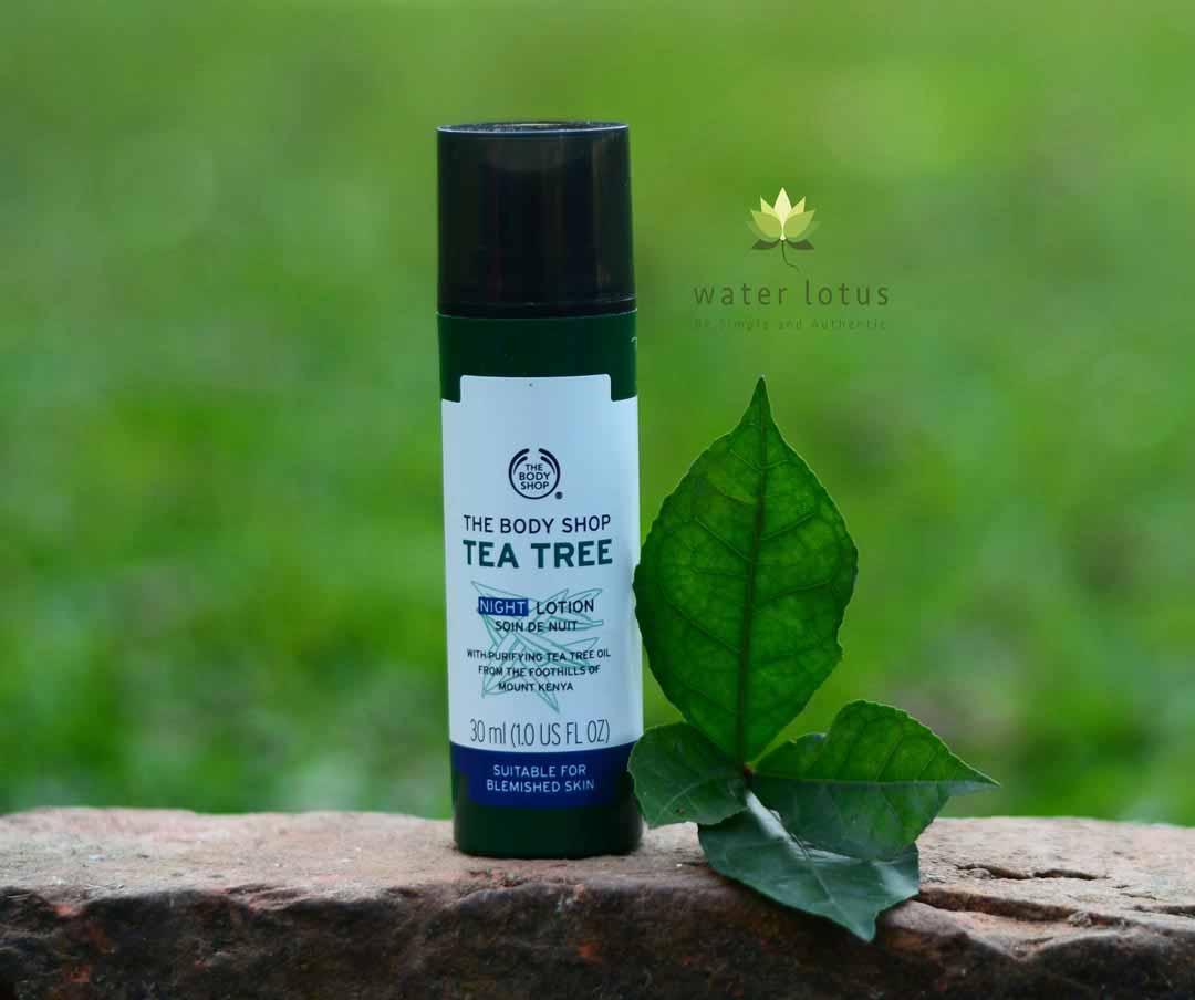 The Body Shop Tea Tree Night Lotion