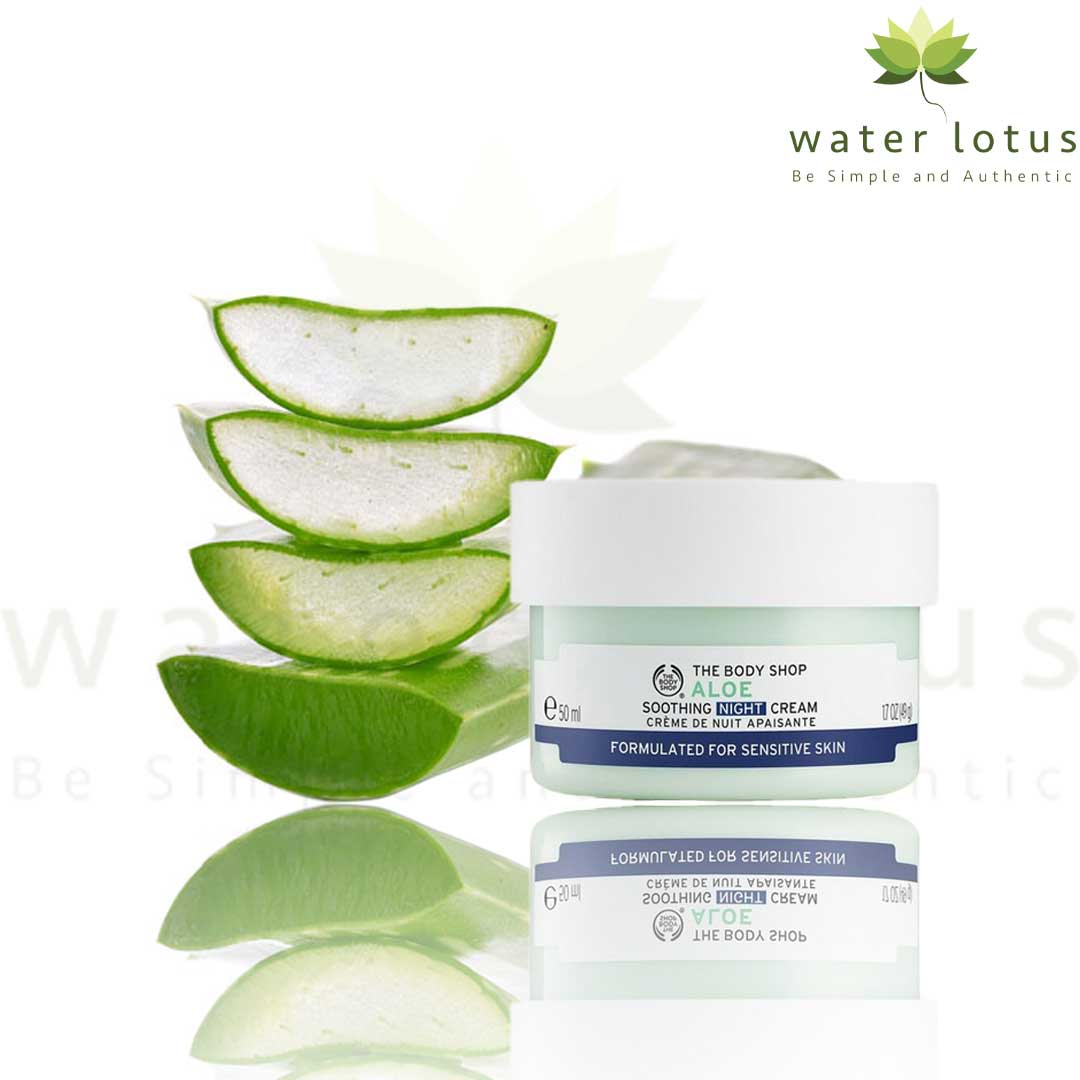 The Body shop Aloe Soothing Night Cream for your skin